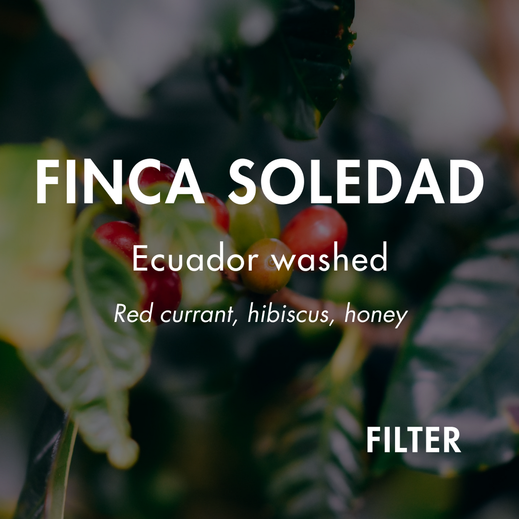 Narrative Coffee Stand