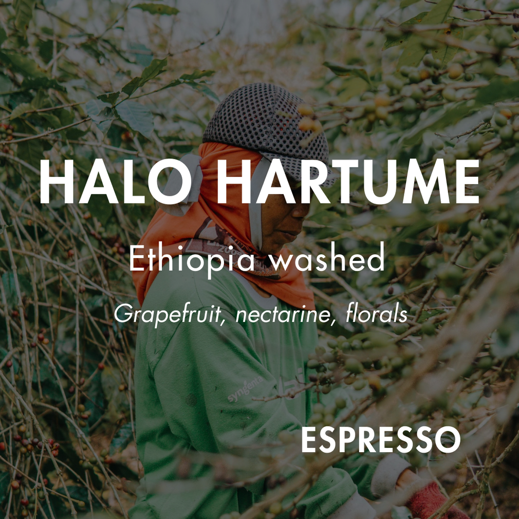 Narrative Coffee Stand